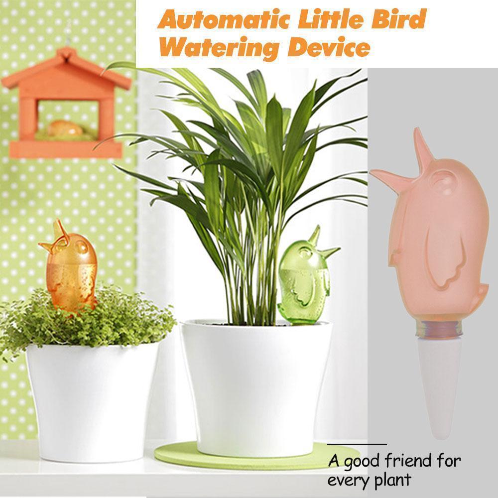 Automatic Little Bird Watering Device – ailsion