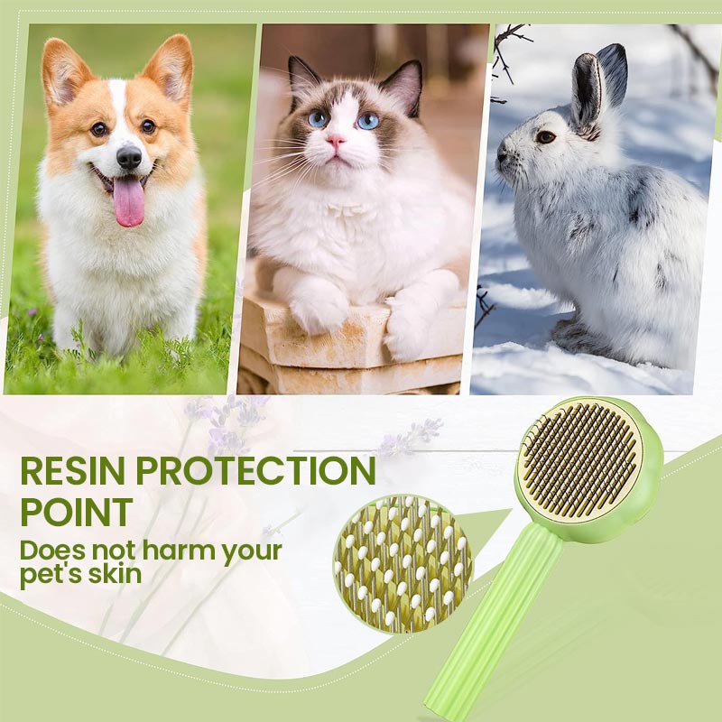 Non-Slip Pet Hair Cleaner Brush – ailsion