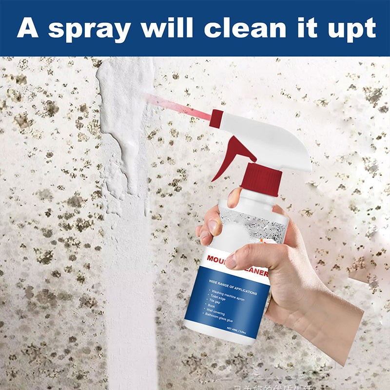 Mildew Cleaner Foam – ailsion