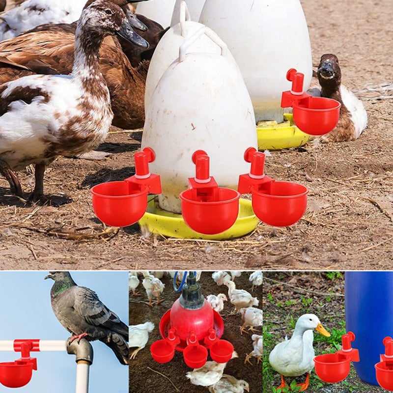 Automatic Poultry Drinker – ailsion